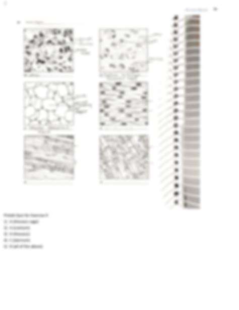 SOLUTION A P I Lab Classification Of Tissues Studypool