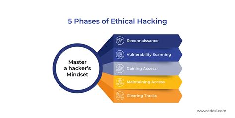 Certified Ethical Hacker [ceh V13 Ai] Course In Dubai Edoxi