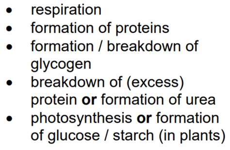 Paper 1 Biology Flashcards Quizlet