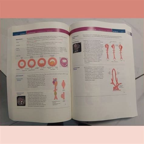 รน2nd Command ของ Linux การแนะนำทสมบรณ Lazada co th