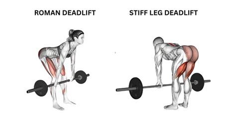Rdls Vs Sldls Heres The Difference