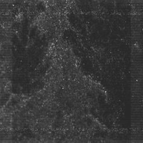 24 Image Evaluation By Fft Window Deformation Download Scientific Diagram