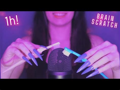 ASMR Mic Scratching - Brain Scratching with Long Nails 😴 BRAIN MELTING! No Talking for Sleep -1 HOUR