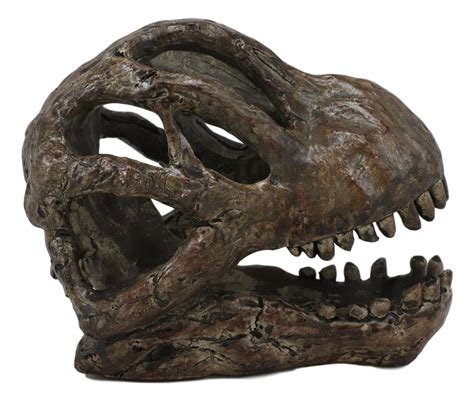 Faux Taxidermy Replica Brachiosaurus Dinosaur Head Fossil Small Skull