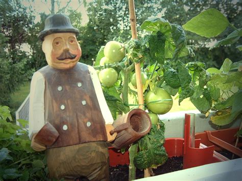 Sicherheitswacht Auf Dem Balkon Garten Königsbrunn