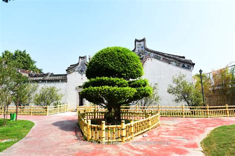 凤凰洲公园图片欣赏84989 U途旅游网