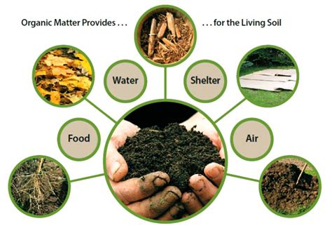 Organic Matter Hc Organic Matter Om Phân Bón Fnano