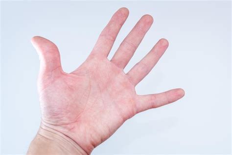 Premium Photo Man Hand Isolated On White Background
