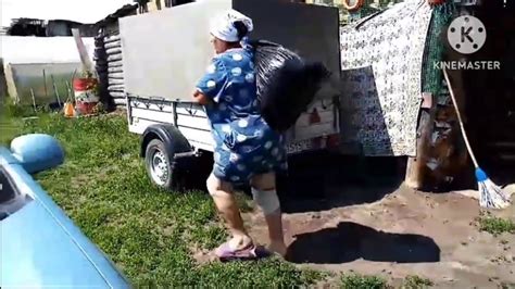 Галка опять взялась за старое купили утят нашествие мошек на Сибирь