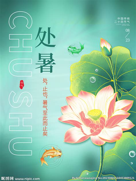 处暑莲花海报设计图 海报设计 广告设计 设计图库 昵图网
