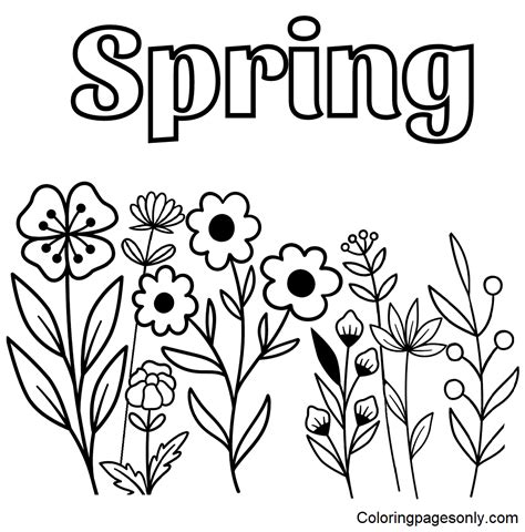 dibujos para colorear de flores de primavera pdf png imprimibles