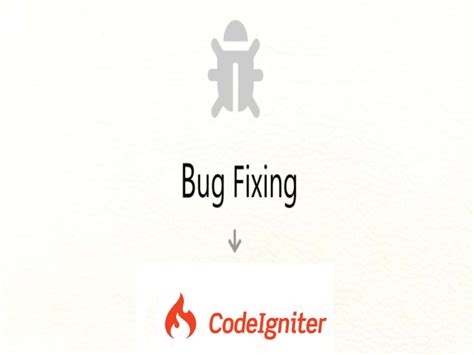 Codeigniter Bugs Fixing Service Upwork