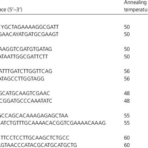 Characteristics Of The Primers Used For Chlamydia Trachomatis Plasmid