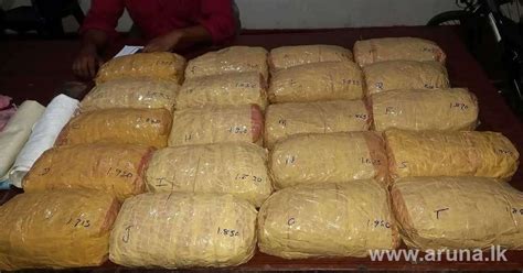 රු මිලියන 3 5ක් වටිනා වල්ලපට්ටා සමග සැකකරුවෙක් අත්අඩංගුවට අරුණ
