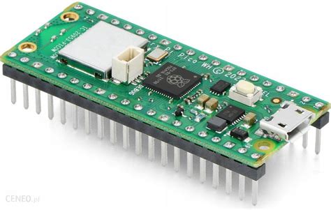 Raspberry Pi Pico Wh Rp2040 Arm Cortex M0 Sc0919 Opinie I Ceny Na