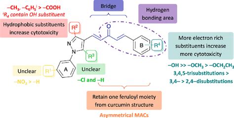 Structure−activity Relationship Of Macs Fused With 1 Aryl 1h Pyrazole