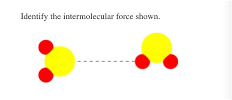 Final Exam Organic Chemistry Flashcards Quizlet
