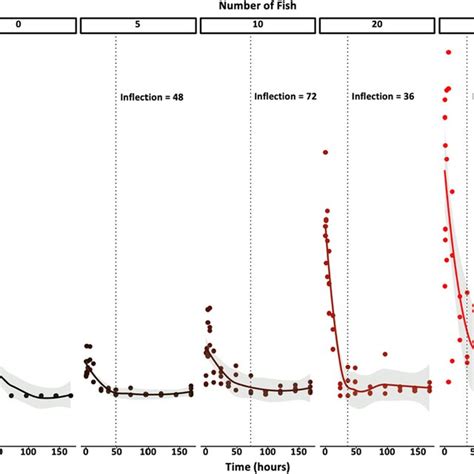 Linear Relationship Between Edna Concentration And Tank Biomass Across Download Scientific