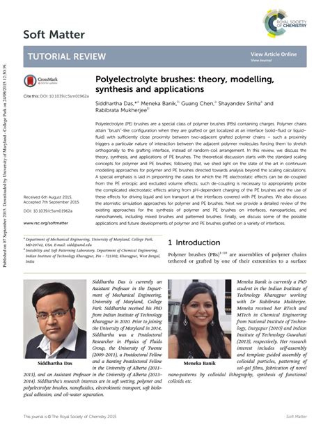 Pdf Polyelectrolyte Brushes Theory Modelling Synthesis And