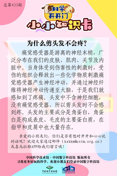 为什么剪头发不会疼 科学开开门 科普中国网