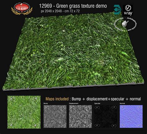 Seamless Grass Texture Map