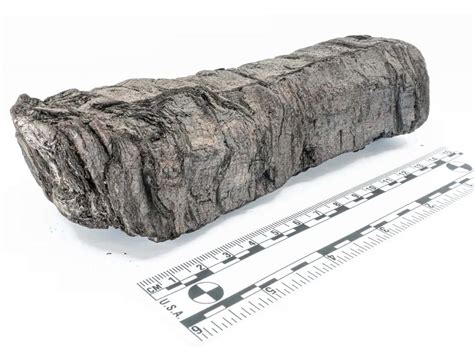 Ai Reveals First Look Inside 2000 Year Old Herculaneum Scroll
