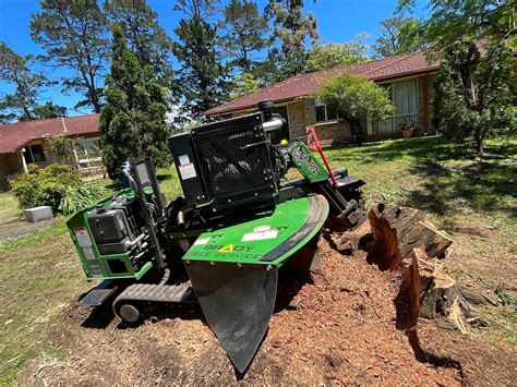 See Our Professional Services In Action Brady Tree Service
