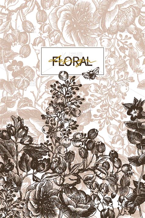 枝 花朵 野花 背景 季节 白色 直的 自然美 植物学 复古素材 花瓣网