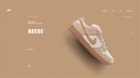 Nike15年的扣篮运动鞋网站 大美工dameigong cn