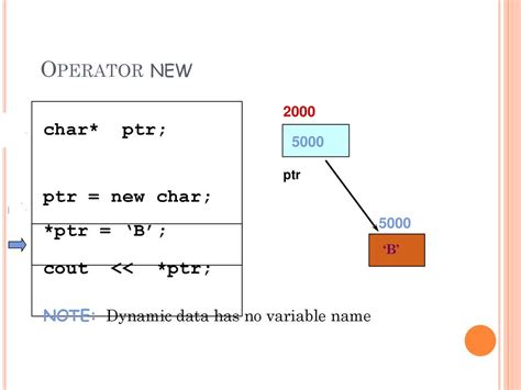 Csc113 Computer Programming Theory 03 Lab 01 Ppt Download