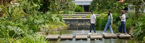 Nyp Academic Calendar