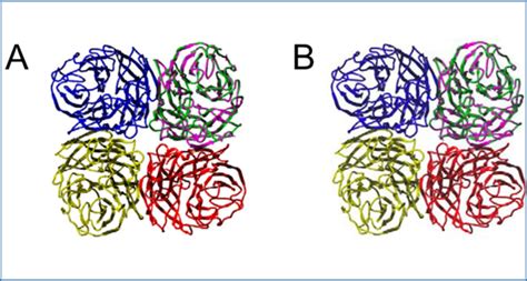 Rna Seq Reveals The Complexity Of Host Virus Interplay At The Rna Level