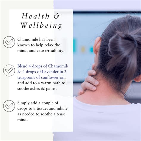 Chamomile Roman Essential Oil Chamomile Oil Uses