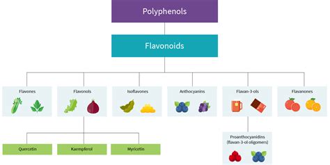 Evaluating The Association Between Different Types Of Flavonoids And