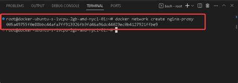Part 5 How To Set Up Nginx Proxy Manager Using Docker Compose Anebula