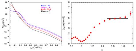 Left Calculated Momentum Distributions For Several Nuclei Adapted