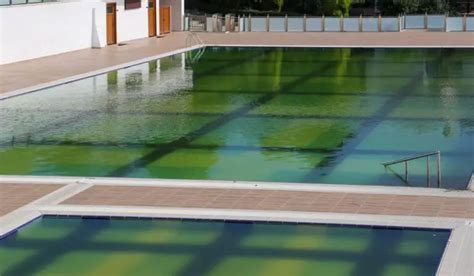 How To Clean A Green Pool A Step By Step Guide PoolsWiki