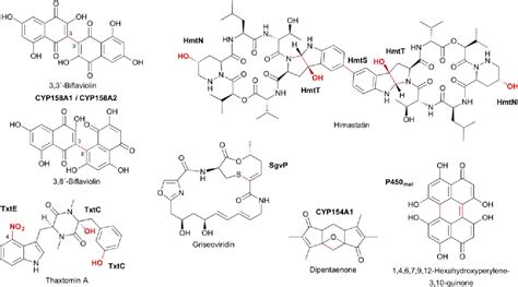 Figure 3 From Cytochromes P450 For Natural Product Biosynthesis In
