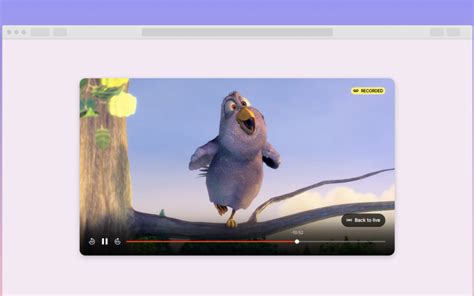 Amazon Interactive Video Service Resources