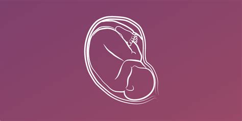 Obstetrics Tvasurg The Toronto Video Atlas Of Surgery