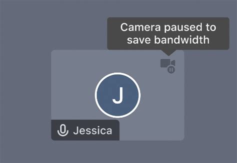 Live Video Group Chat Interface Tips For Participants