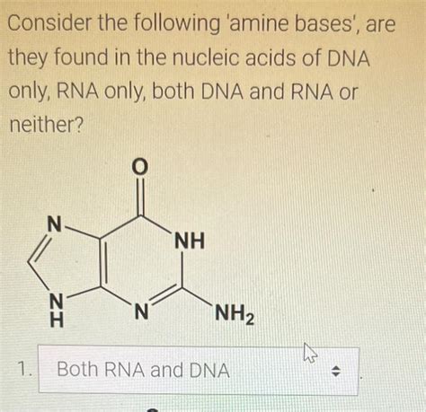 Solved Consider The Following Amine Bases Are They Found Chegg