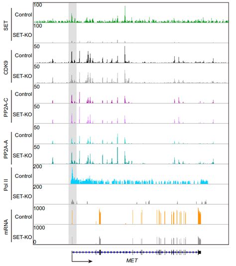 Cutandtagrna Seq关联分析的 5 个套路cuttag数据分析 Csdn博客