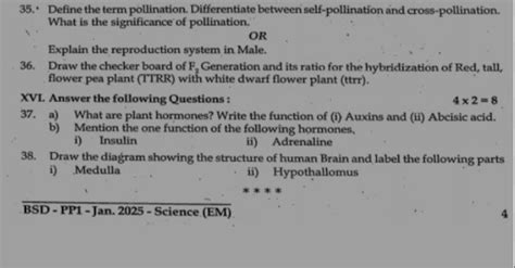 35 Define The Term Pollination Differentiate Between Self Pollination A