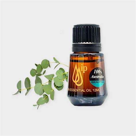 유기농 100 유칼립투스 천연 에센셜 오일 12ml 기프트사파리