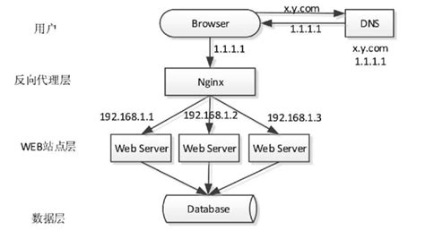 数据库大作业——学生选课系统（基于springbootmysql） Csdn博客