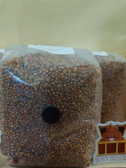Brown Treasure Sterilized Mushroom Grain Spawn 2lb Bag