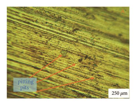 Wear Surface Morphology Of The Martensitic Test Piece Under Unworn