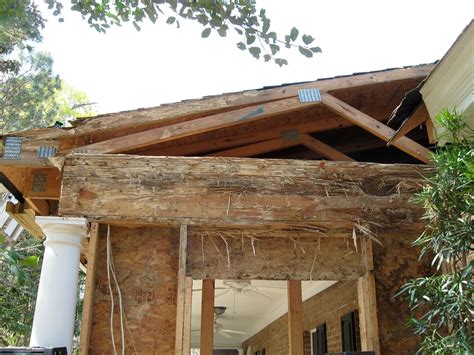 Importance Of Regular Termite Inspections Palmetto Exterminators
