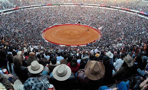 Cuáles son los estados de México que prohíben las corridas de toros Infobae